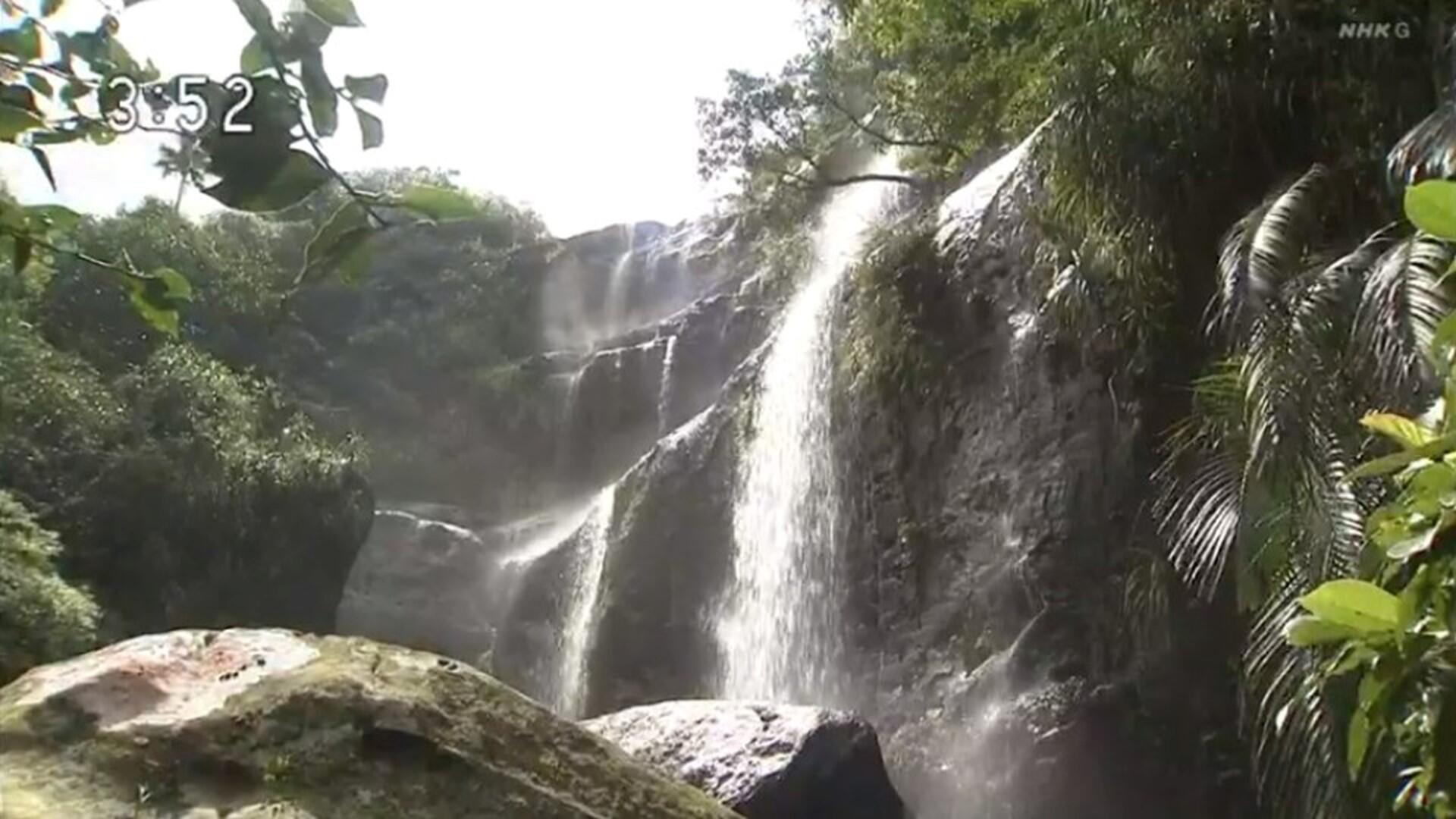 総合G 同時配信中 - NHKプラス